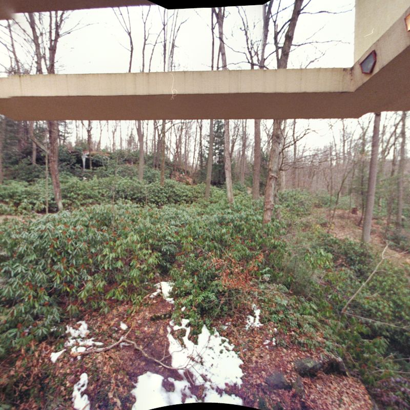 Fallingwater, Bear Run, PA