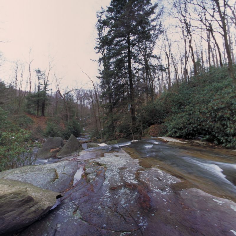 Fallingwater, Bear Run, PA